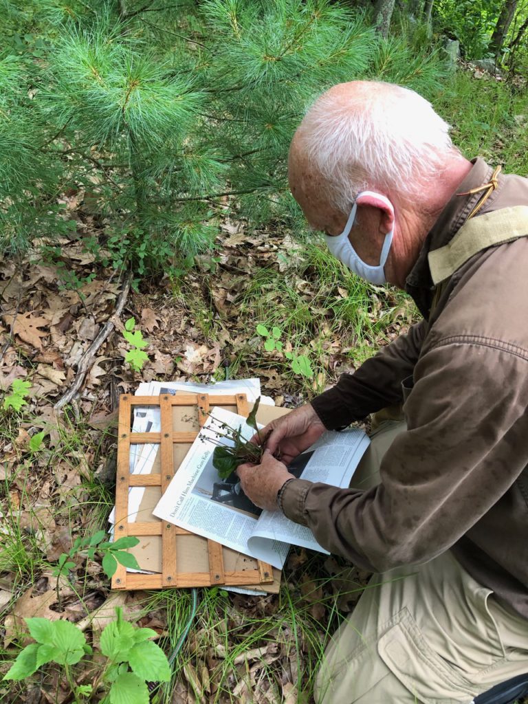 Implement Climate Smart Land Use - Kent Climate Smart